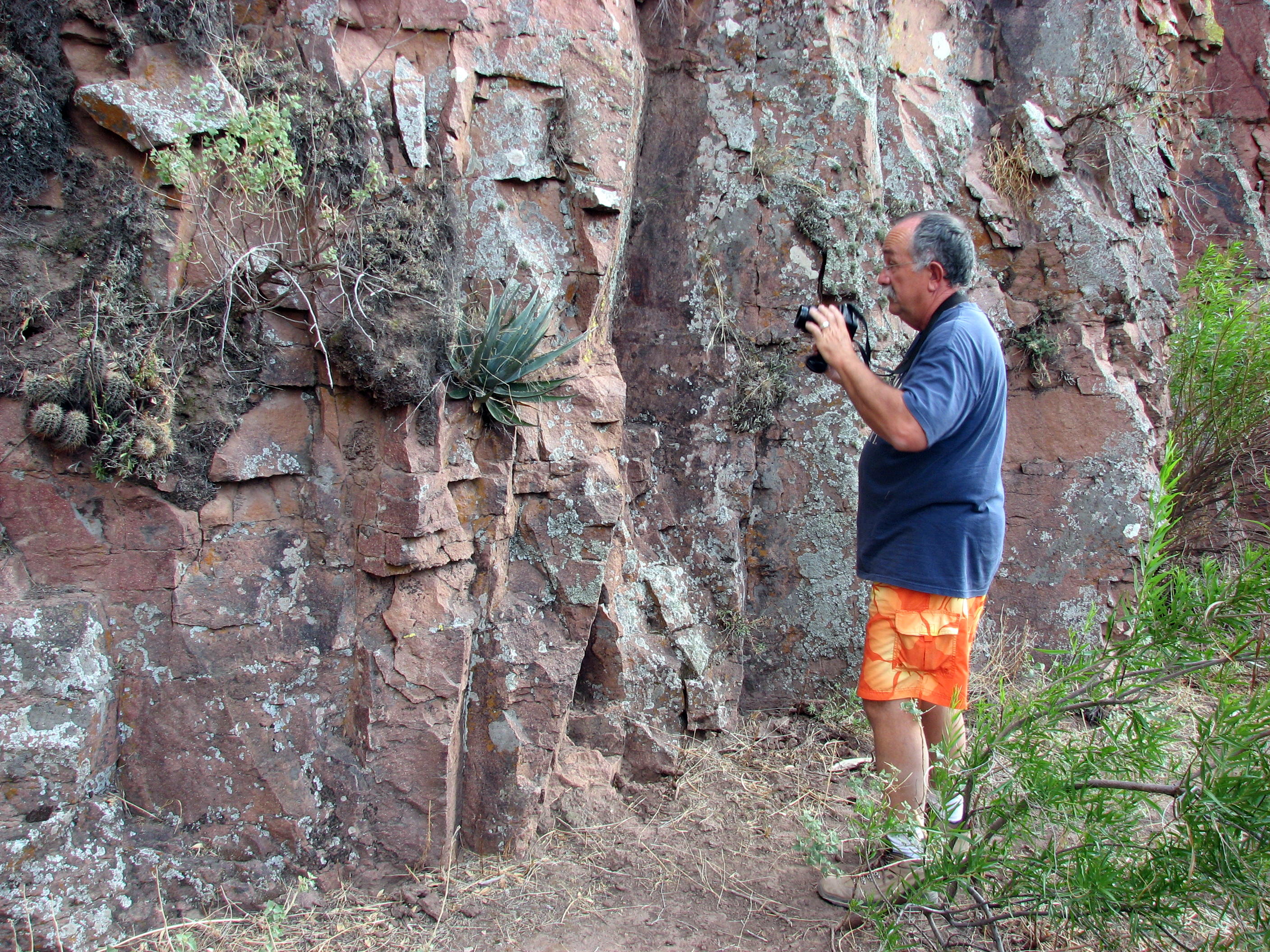 Agave potrerana – A Holy Grail Desert Lily of Mexico | Dave Creech